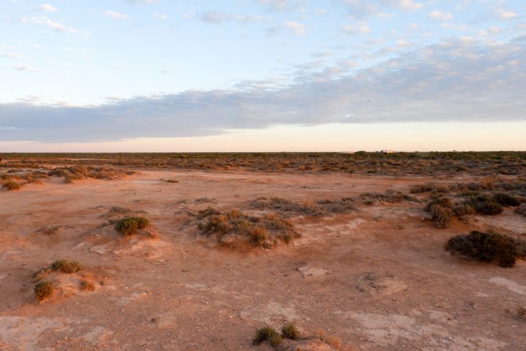 Driving Across The Nullarbor Plain : Everything You'll Ever Need To ...