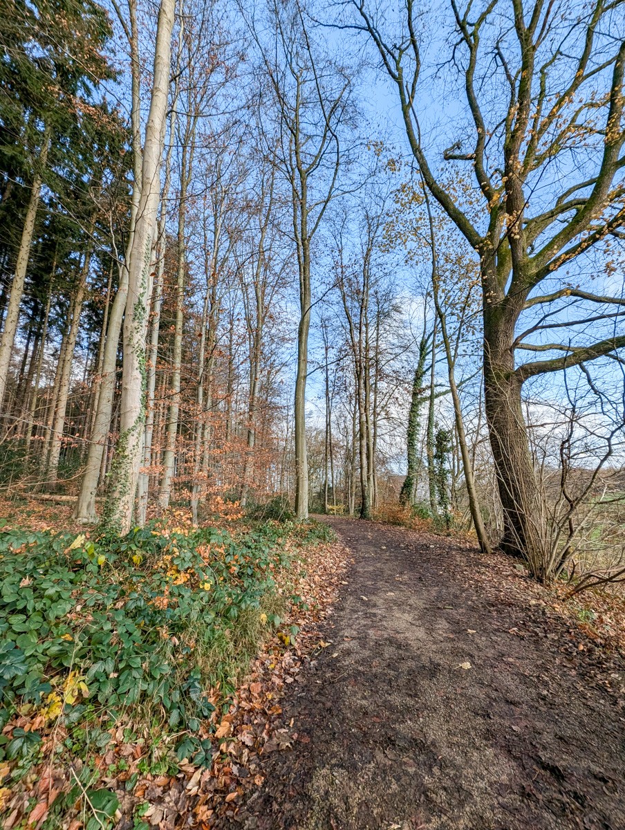How to visit the tri-country point near Aachen - Claire's Footsteps